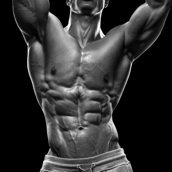 SHREDDED: World's Best Program for Men to Get Ripped | Hustler Fitness ...